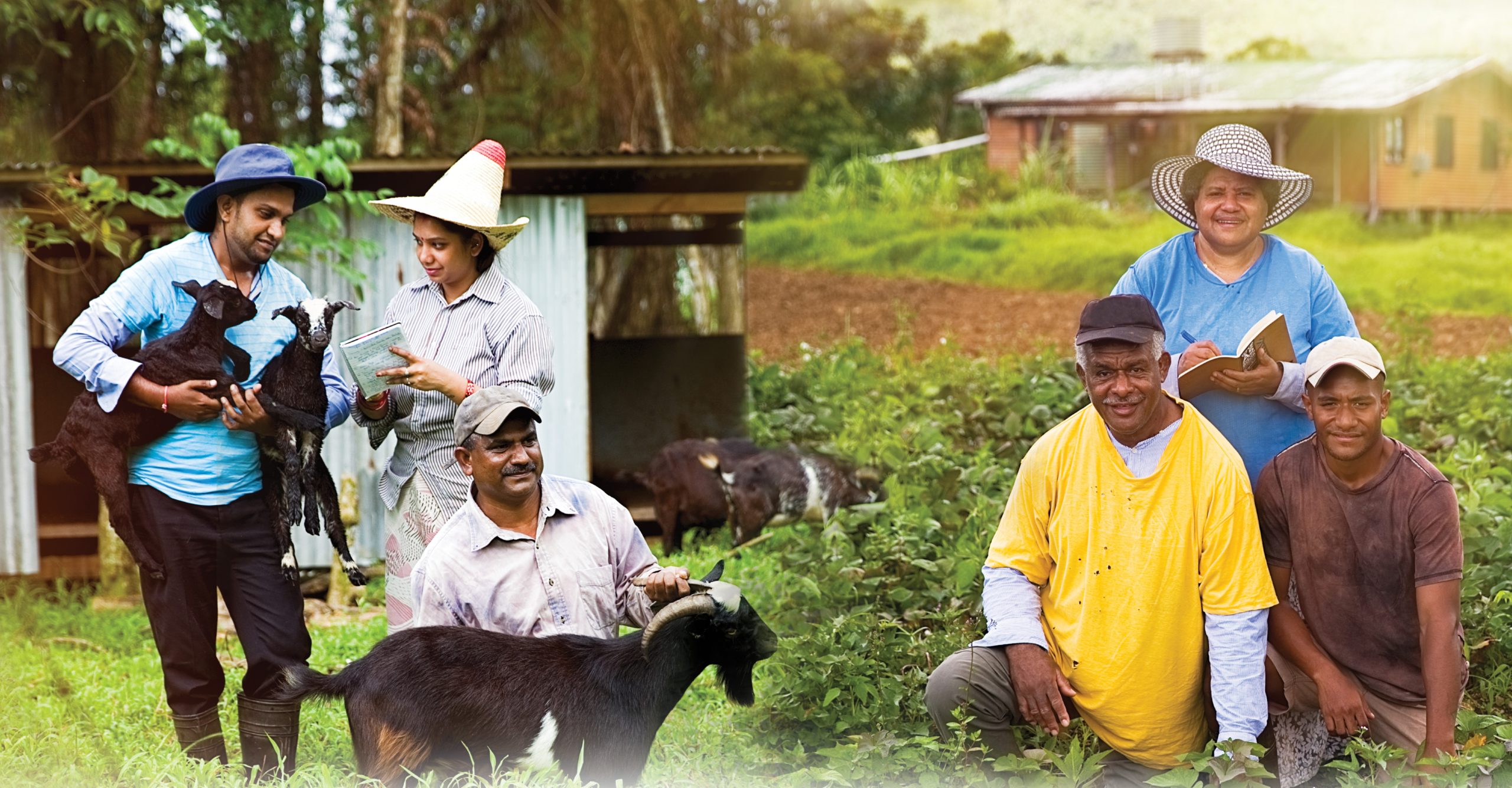 Fiji Development Bank: Breaking Barriers to Agriculture Finance – Fiji ...