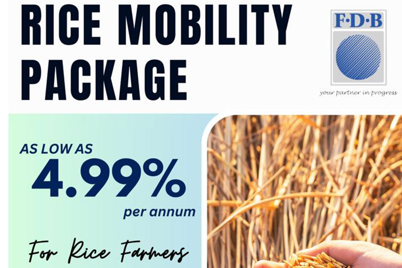 Fiji Development Bank Supports Government Rice Industry Initiative ...